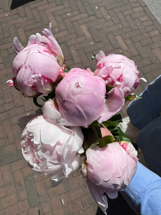 Fiore - The go-to place for organic flowers and more – Fioreutrecht